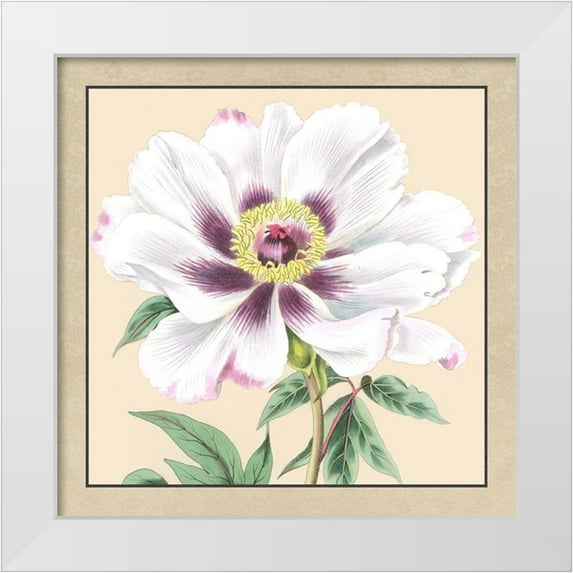 Vision Studio 12x12 White Modern Wood Framed Museum Art Print Titled ...