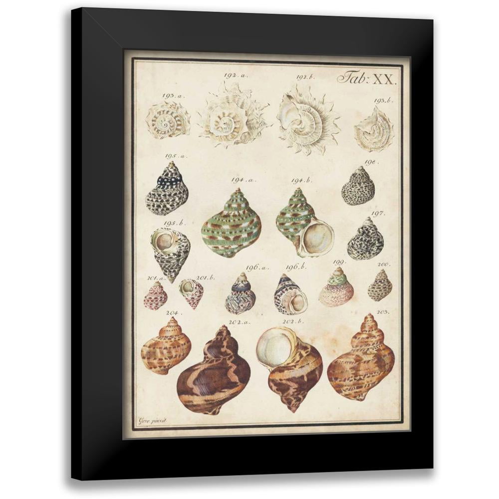 Vision Studio 12x14 Black Modern Framed Museum Art Print Titled ...