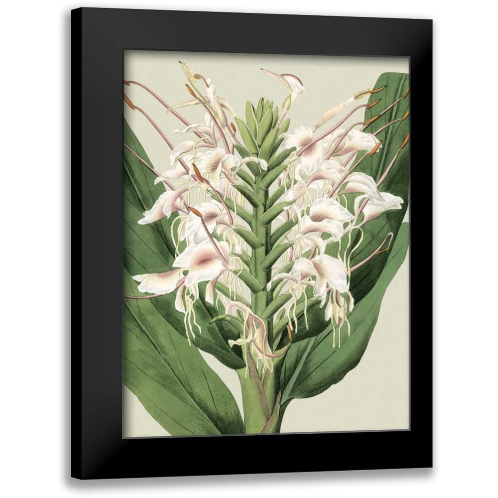 Vision Studio 12x14 Black Modern Framed Museum Art Print Titled - Small ...