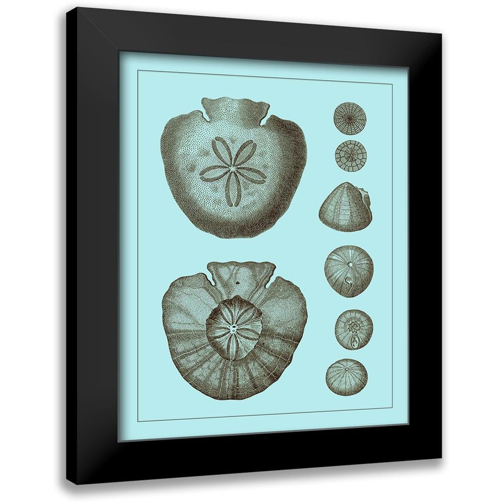 Vision Studio 12x14 Black Modern Framed Museum Art Print Titled ...