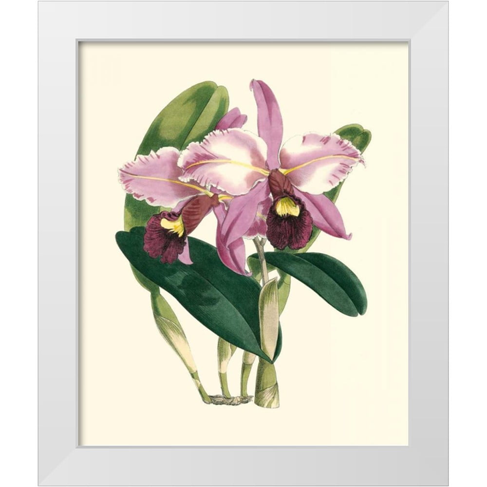 Vision Studio 12x14 White Modern Wood Framed Museum Art Print Titled ...