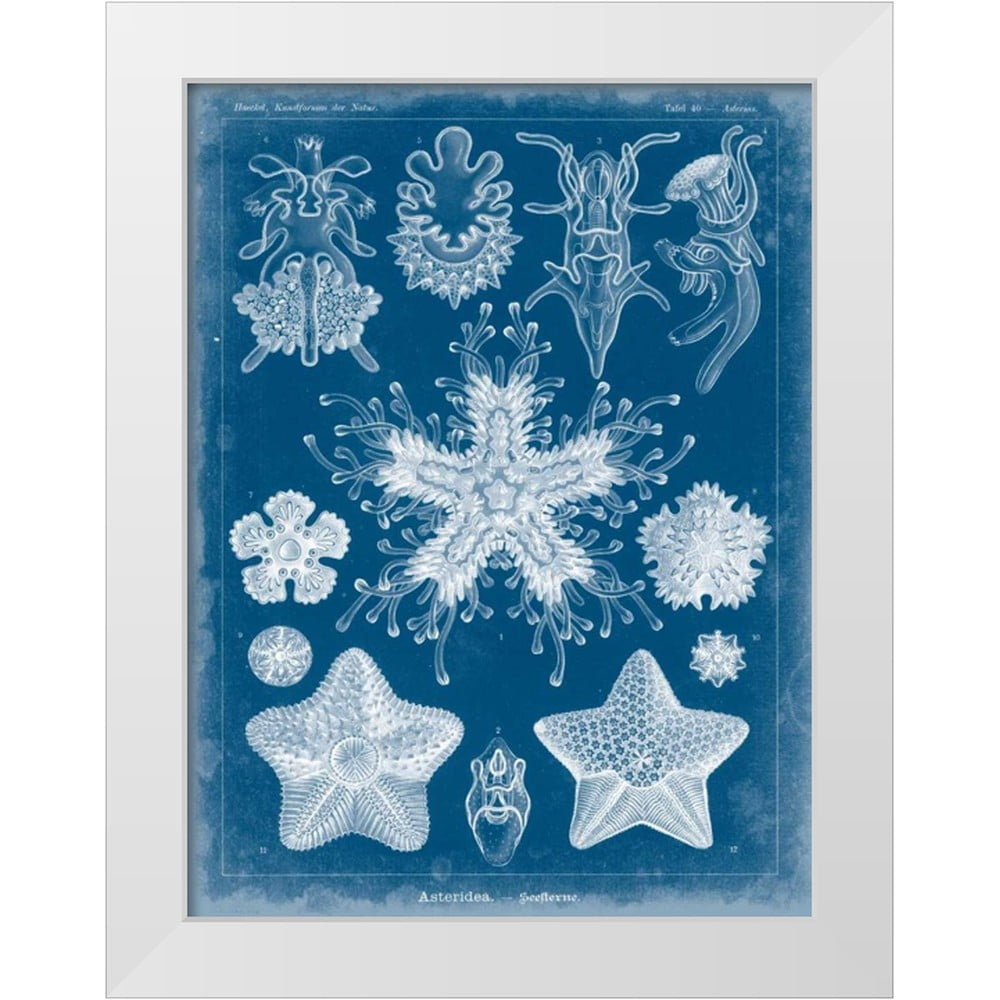 Vision Studio 12x14 White Modern Wood Framed Museum Art Print Titled ...