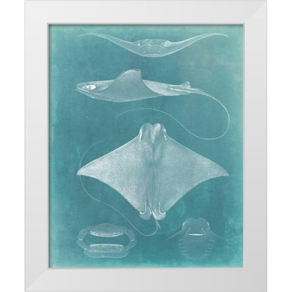 Vision Studio 12x14 White Modern Wood Framed Museum Art Print Titled ...
