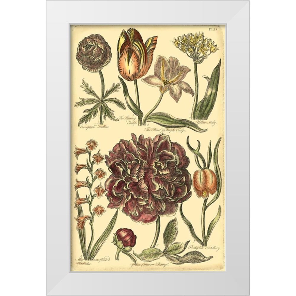 Vision Studio 13x18 White Modern Wood Framed Museum Art Print Titled - Floral Bounty V - Walmart.com