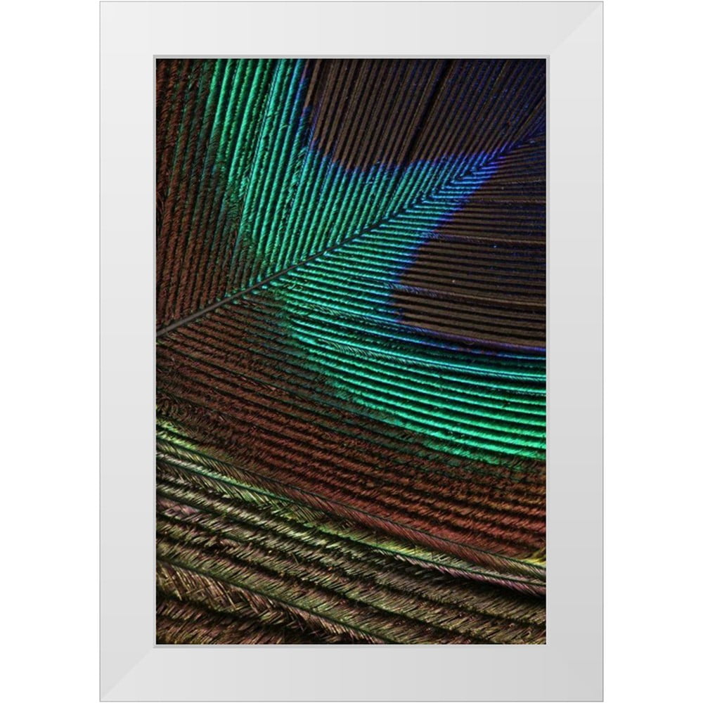 Vision Studio 13x18 White Modern Wood Framed Museum Art Print Titled ...