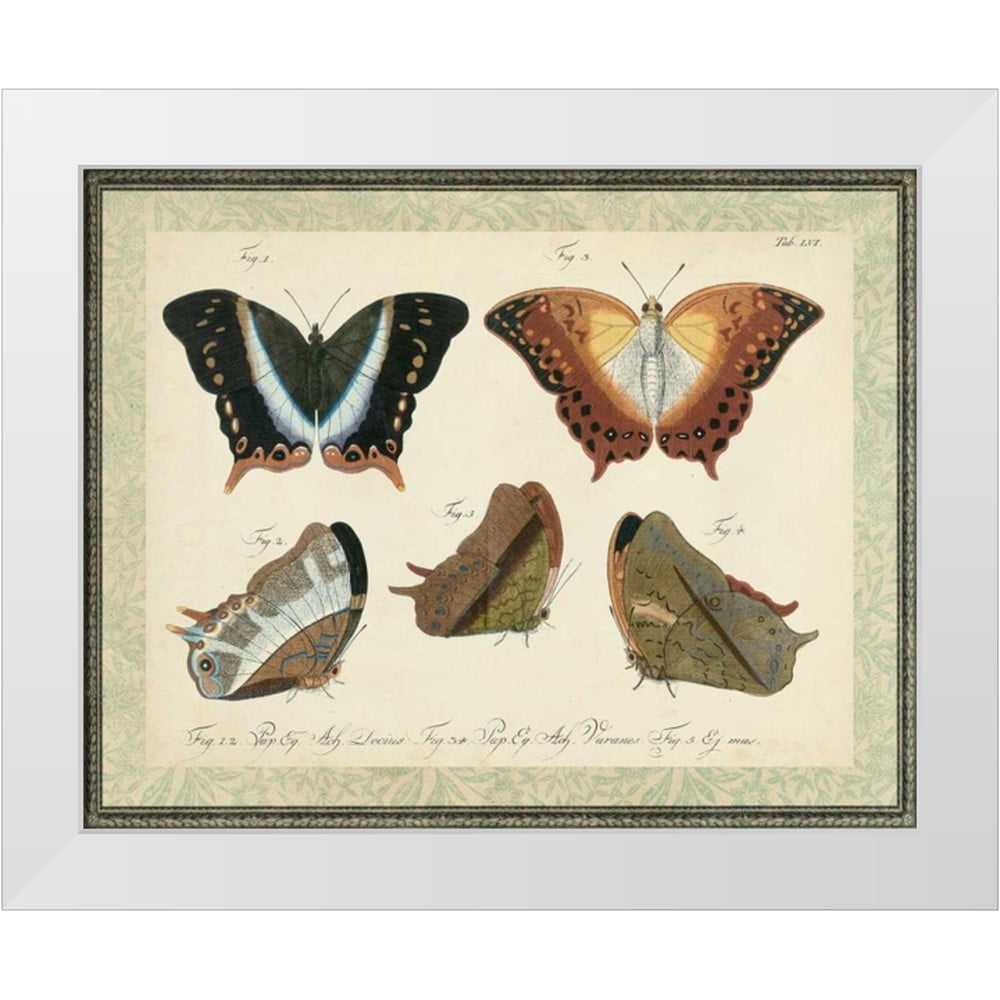 Vision Studio 14x12 White Modern Wood Framed Museum Art Print Titled ...