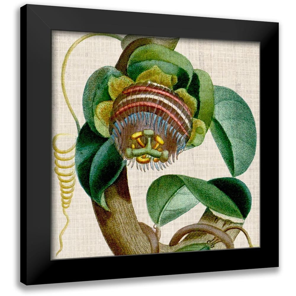 Vision Studio 15x15 Black Modern Framed Museum Art Print Titled ...