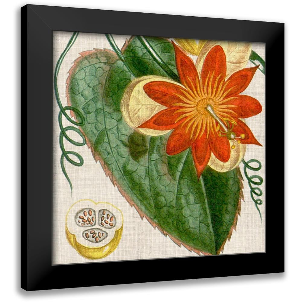 Vision Studio 15x15 Black Modern Framed Museum Art Print Titled ...