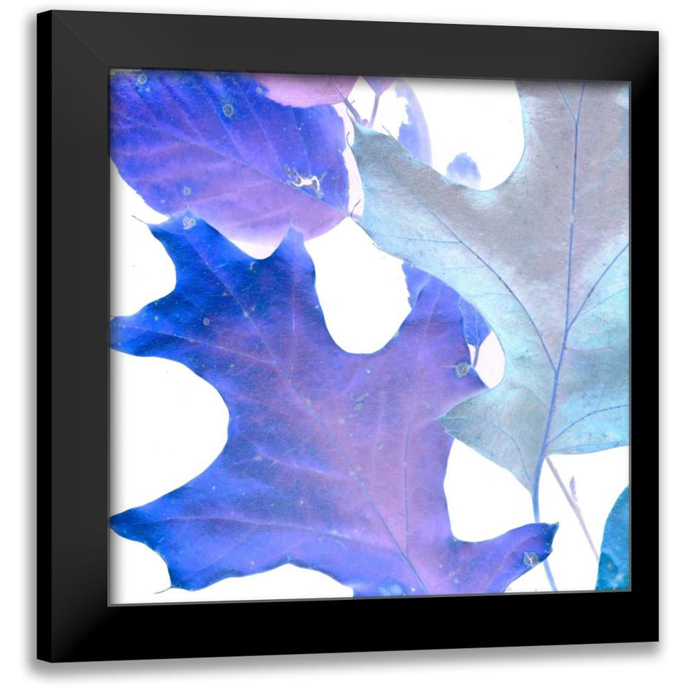 Vision Studio 15x15 Black Modern Framed Museum Art Print Titled - Xray ...