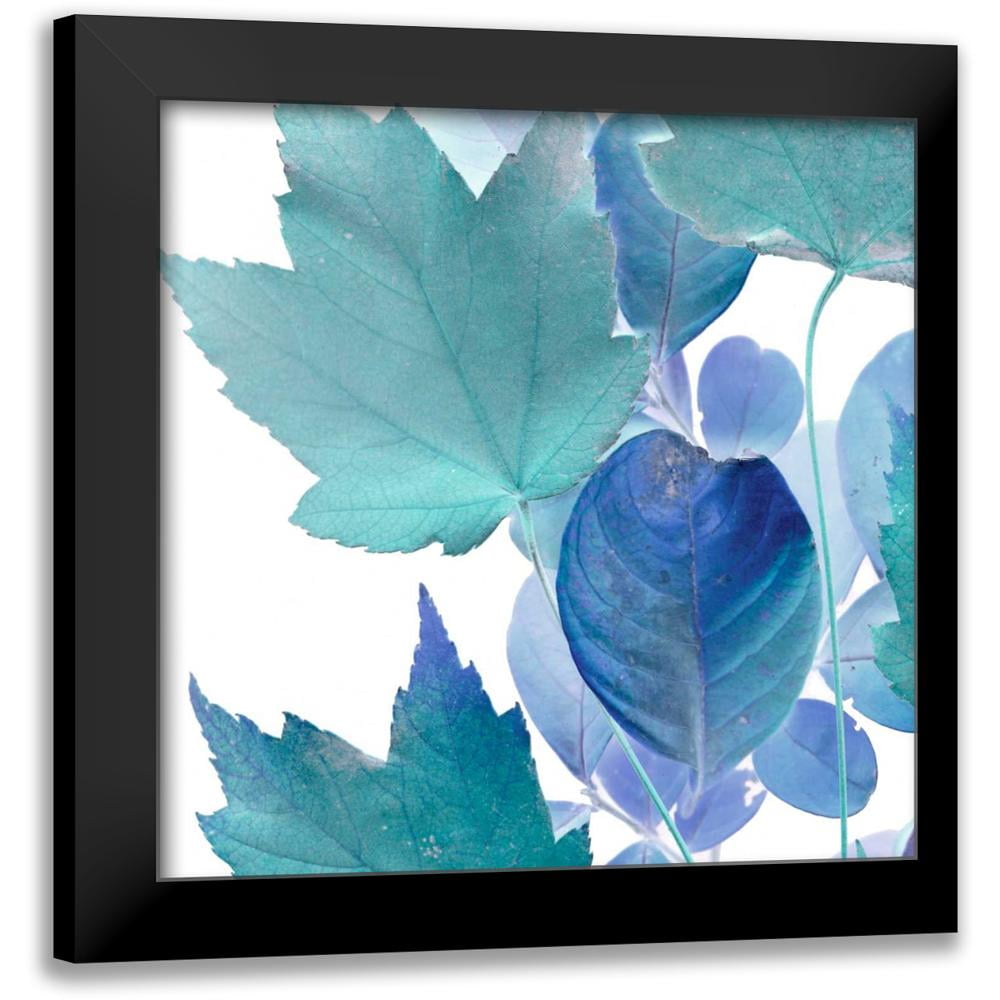 Vision Studio 15x15 Black Modern Framed Museum Art Print Titled - Xray ...