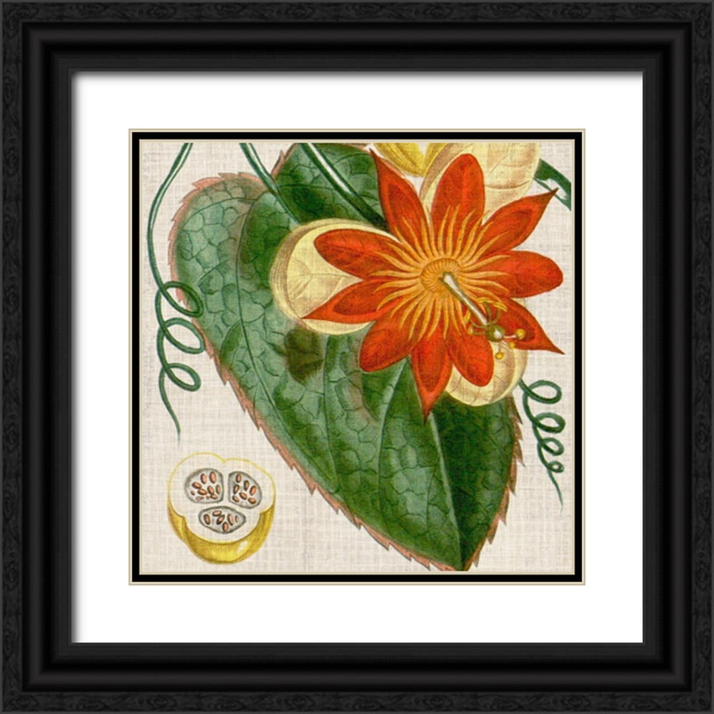 Vision Studio 15x15 Black Ornate Wood Framed with Double Matting Museum ...