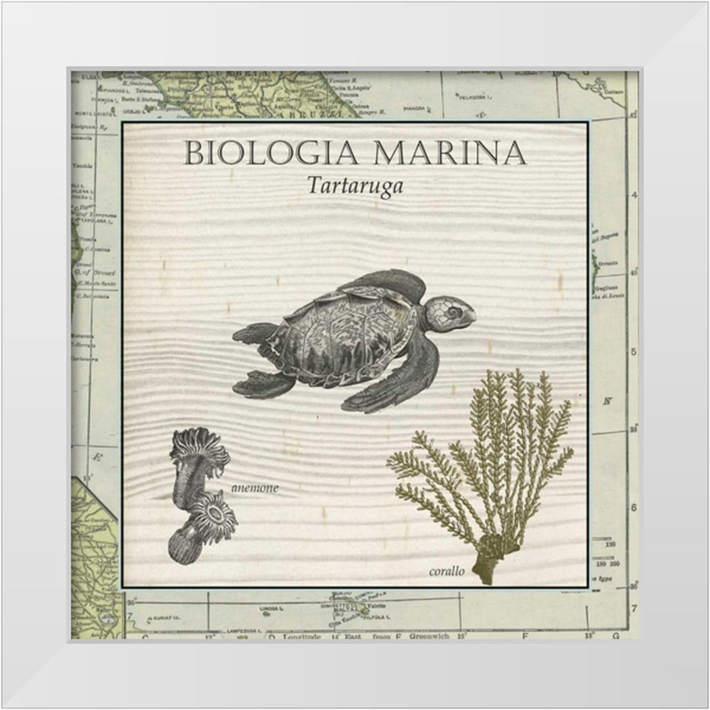 Vision Studio 15x15 White Modern Wood Framed Museum Art Print Titled ...