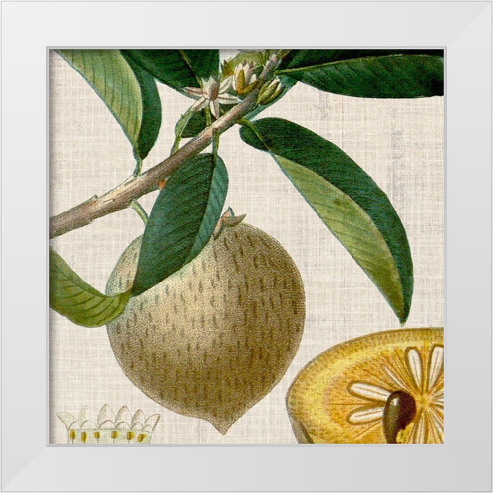 Vision Studio 15x15 White Modern Wood Framed Museum Art Print Titled ...