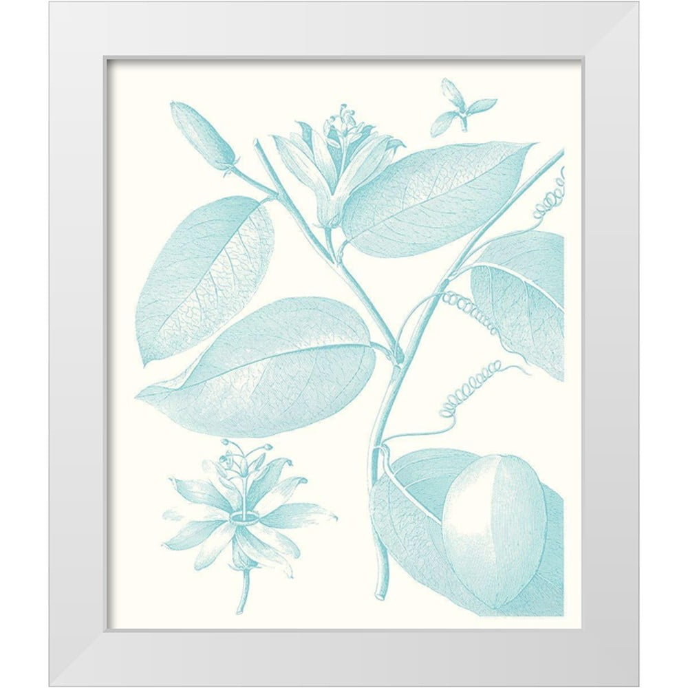 Vision Studio 15x17 White Modern Wood Framed Museum Art Print Titled - Botanical Study in Spa ...