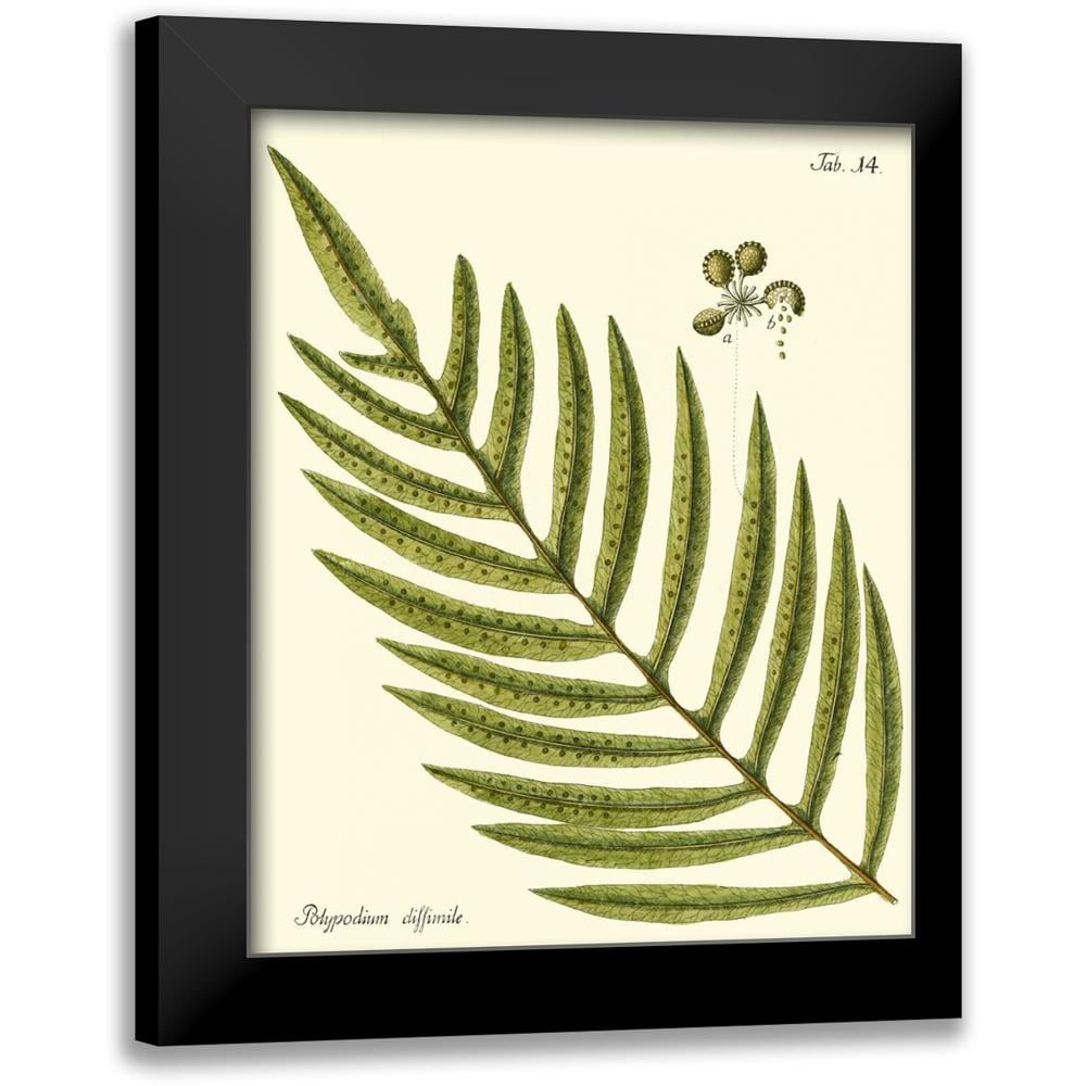 Vision Studio 15x18 Black Modern Framed Museum Art Print Titled - Small ...