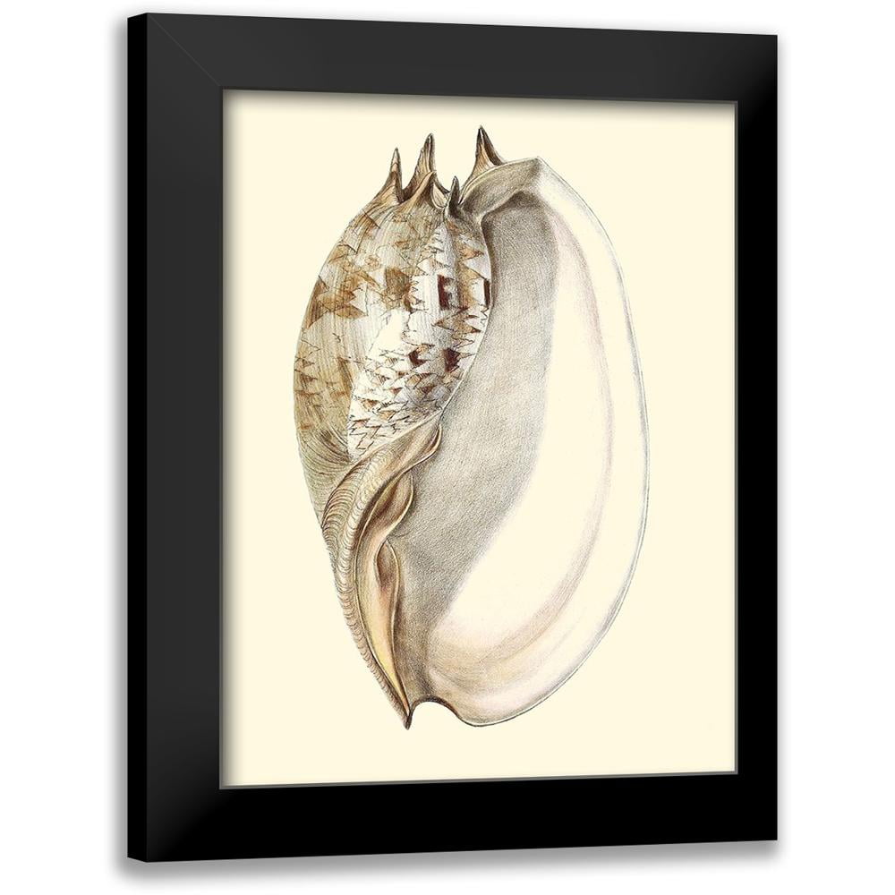 Vision Studio 15x18 Black Modern Framed Museum Art Print Titled ...