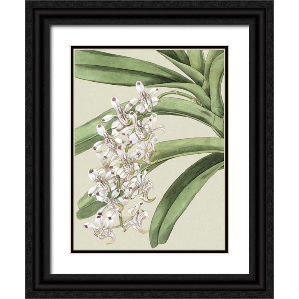 Vision Studio 15x18 Black Ornate Wood Framed with Double Matting Museum ...