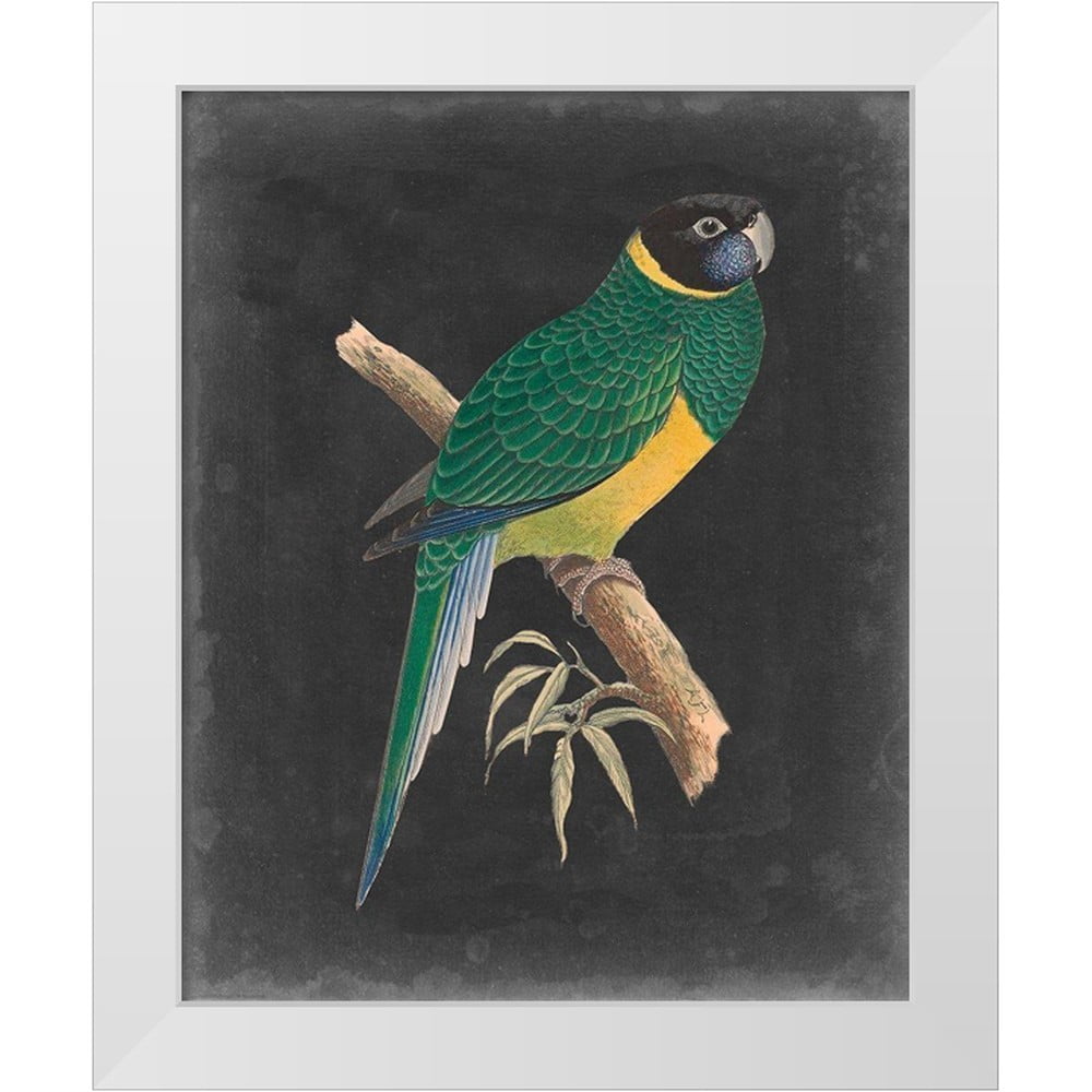 Vision Studio 15x18 White Modern Wood Framed Museum Art Print Titled ...