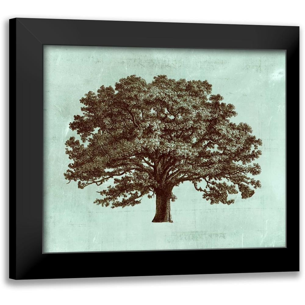 Vision Studio 17x15 Black Modern Framed Museum Art Print Titled - Spa ...