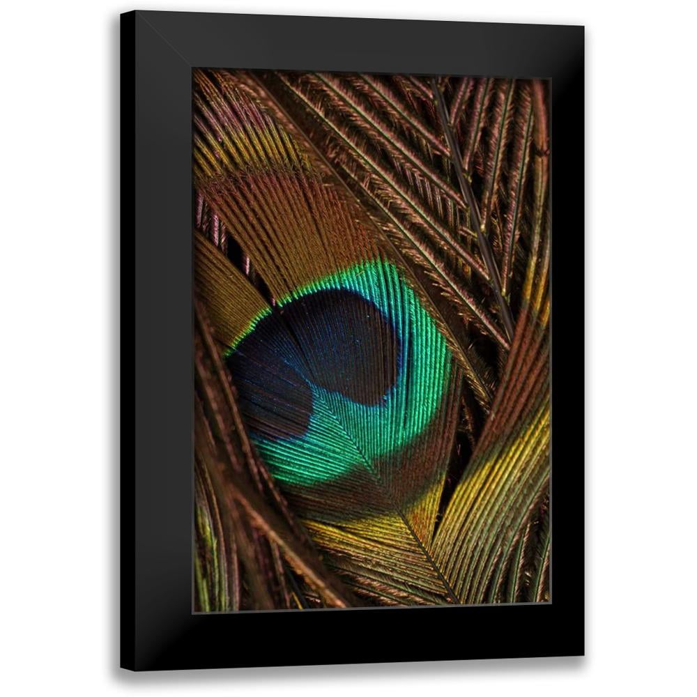 Vision Studio 17x24 Black Modern Framed Museum Art Print Titled ...