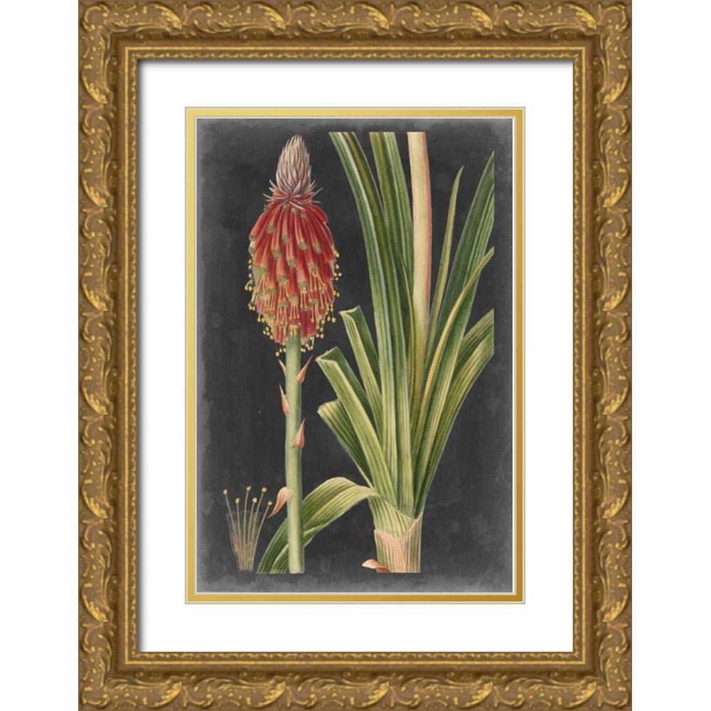 Vision Studio 17x24 Gold Ornate Wood Framed with Double Matting Museum ...