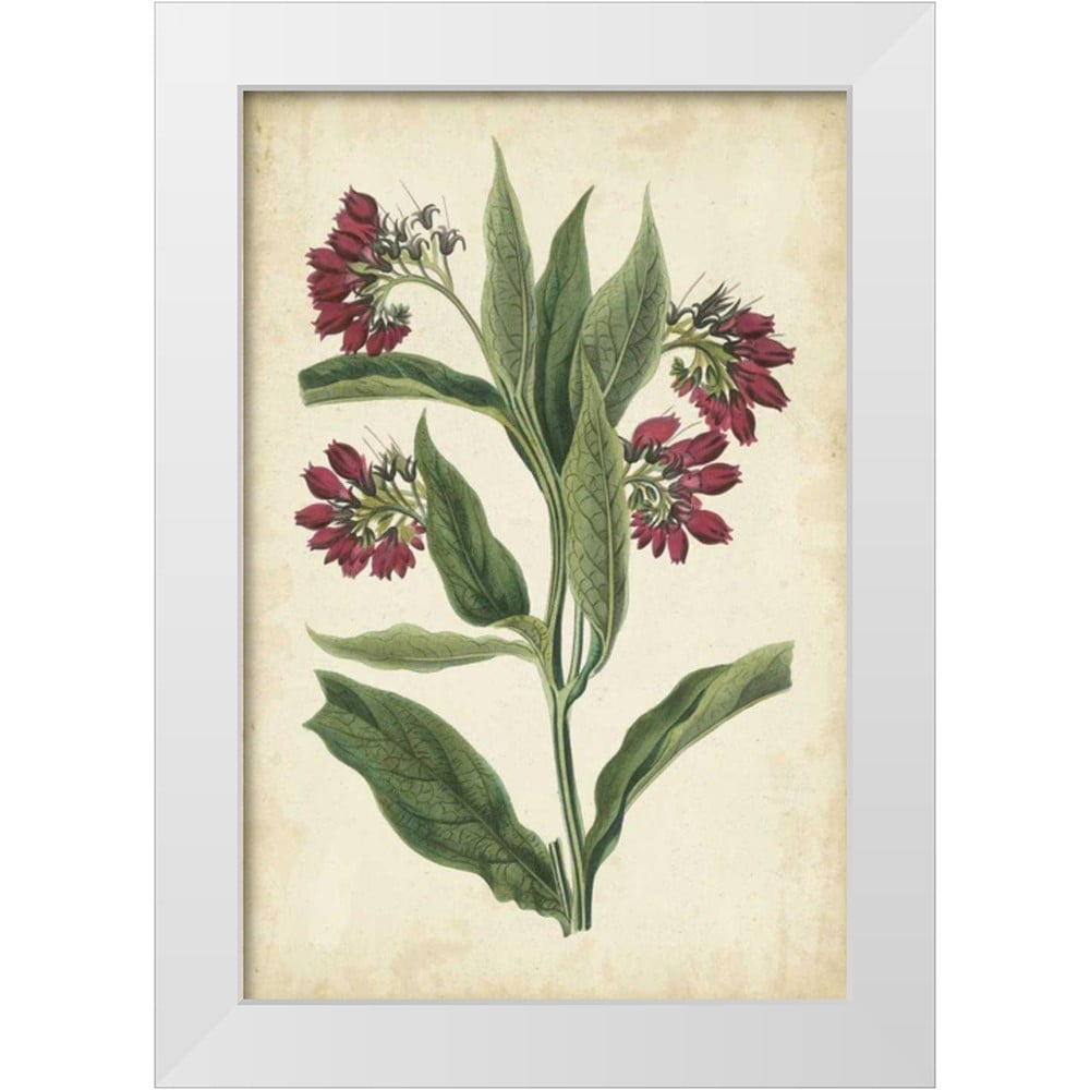 Vision Studio 17x24 White Modern Wood Framed Museum Art Print Titled ...