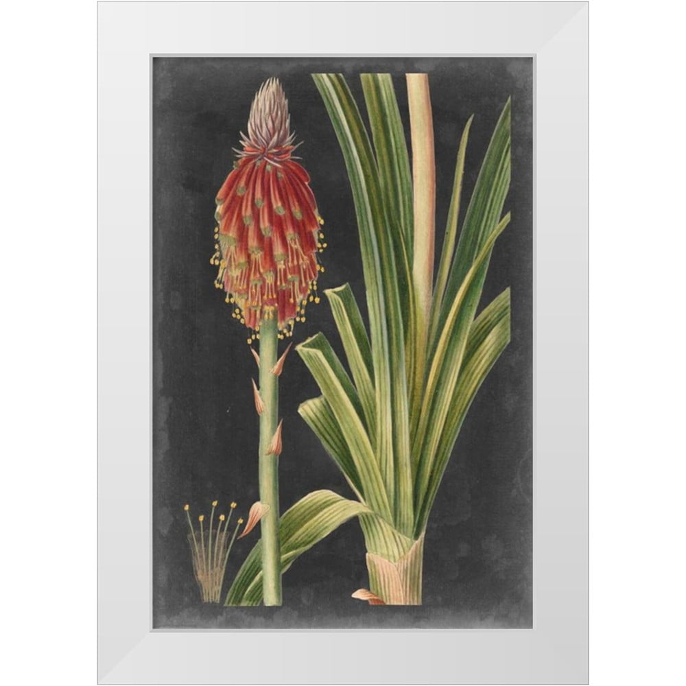 Vision Studio 17x24 White Modern Wood Framed Museum Art Print Titled ...