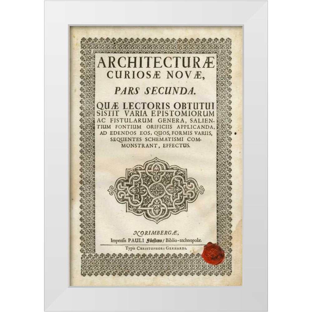 Vision Studio 17x24 White Modern Wood Framed Museum Art Print Titled ...