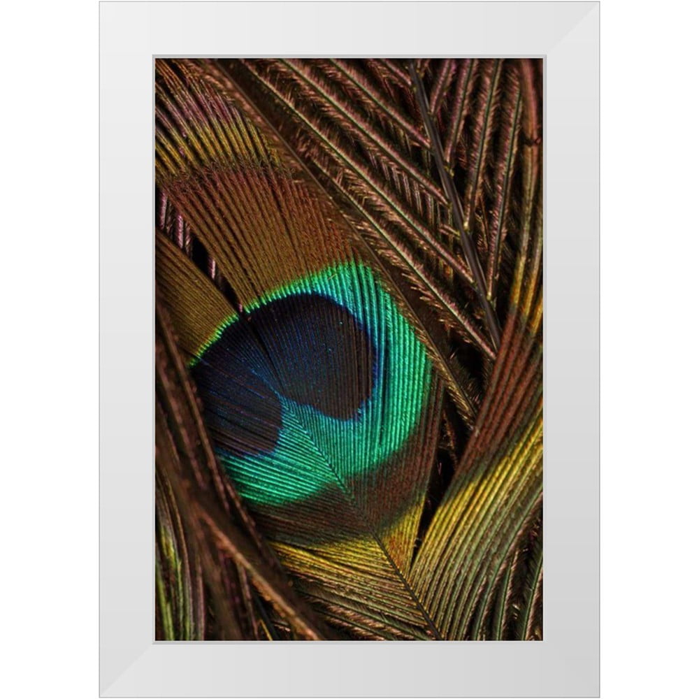 Vision Studio 17x24 White Modern Wood Framed Museum Art Print Titled ...