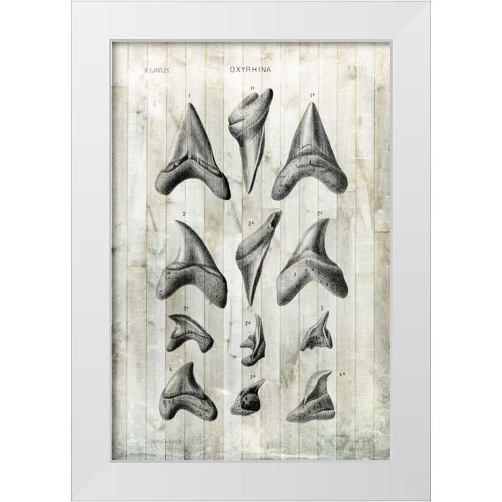 Vision Studio 17x24 White Modern Wood Framed Museum Art Print Titled ...