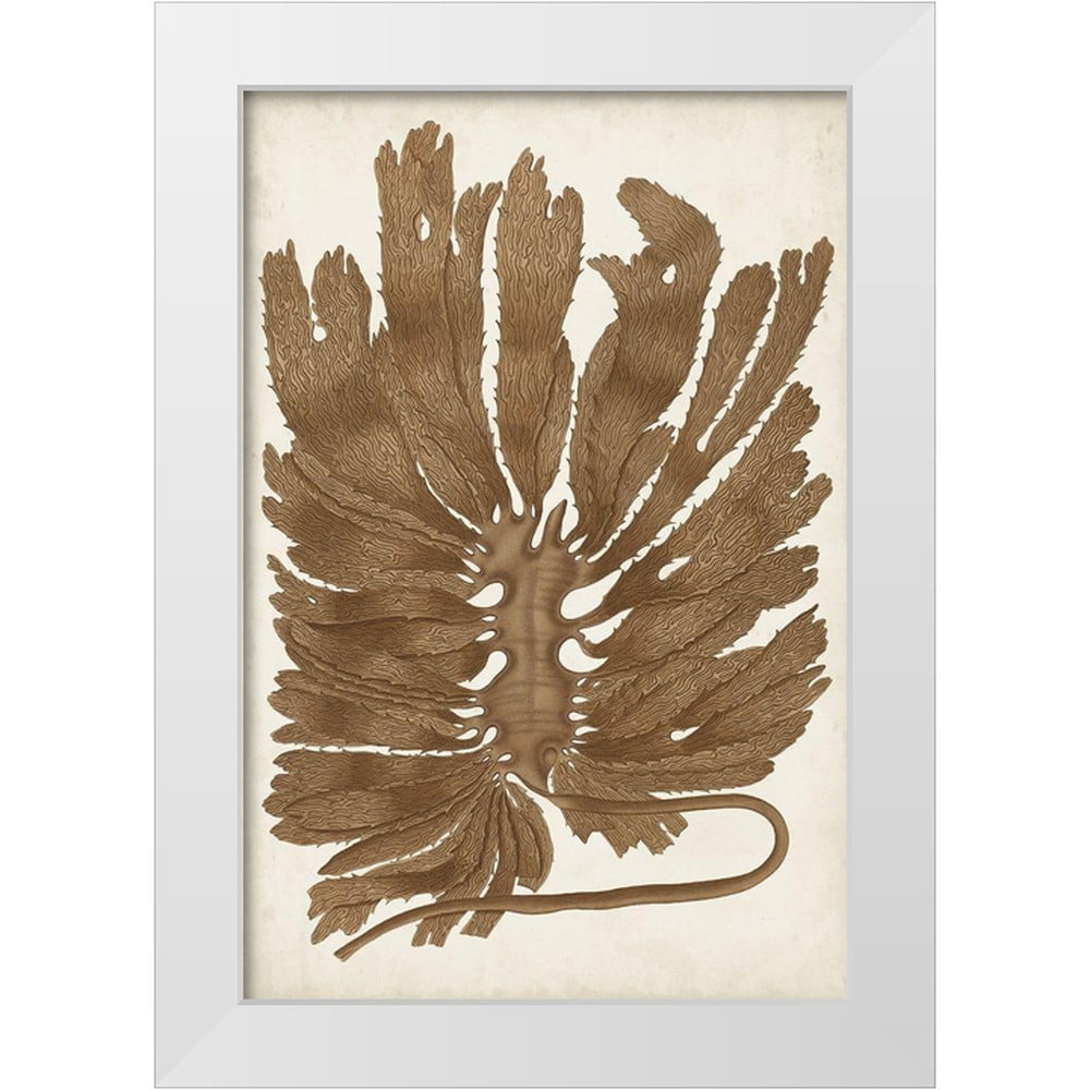 Vision Studio 17x24 White Modern Wood Framed Museum Art Print Titled ...