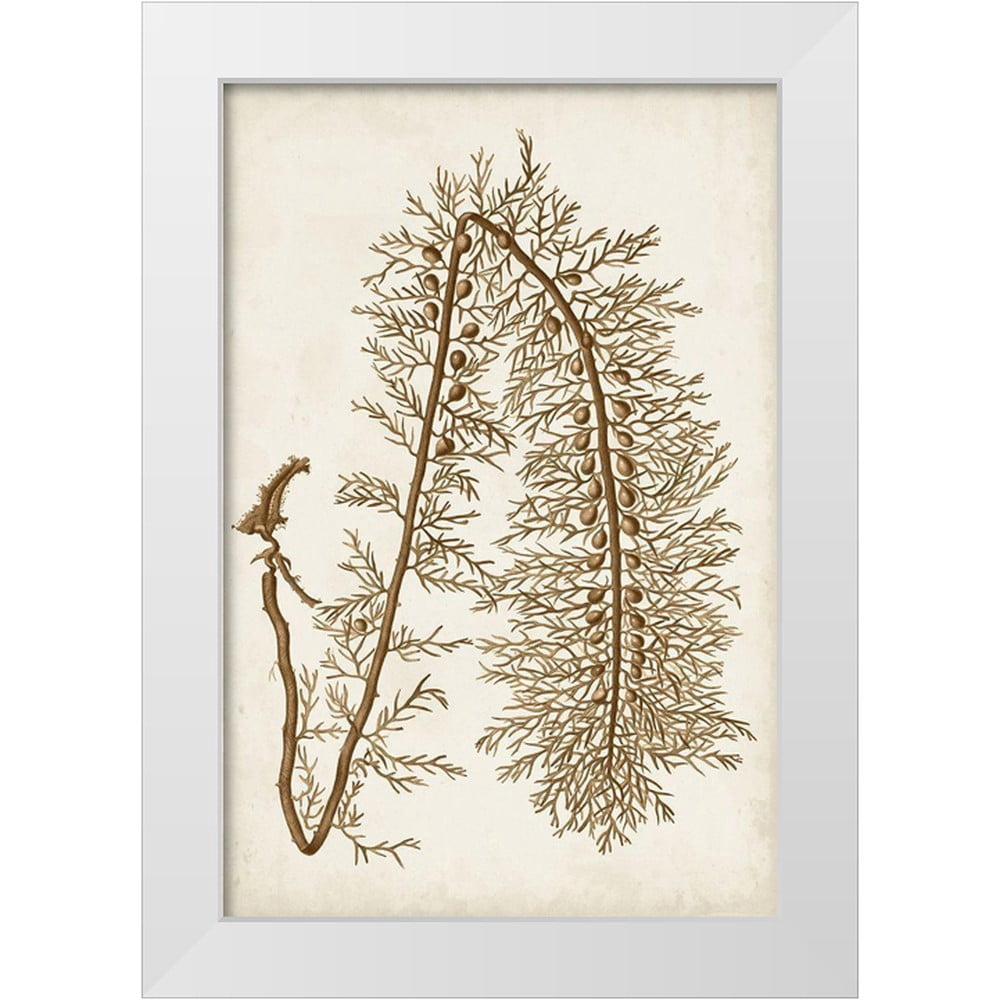 Vision Studio 17x24 White Modern Wood Framed Museum Art Print Titled ...