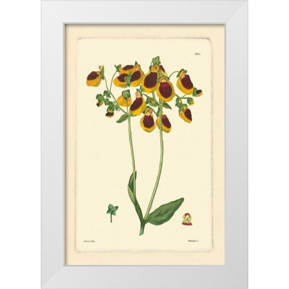 Vision Studio 17x24 White Modern Wood Framed Museum Art Print Titled ...