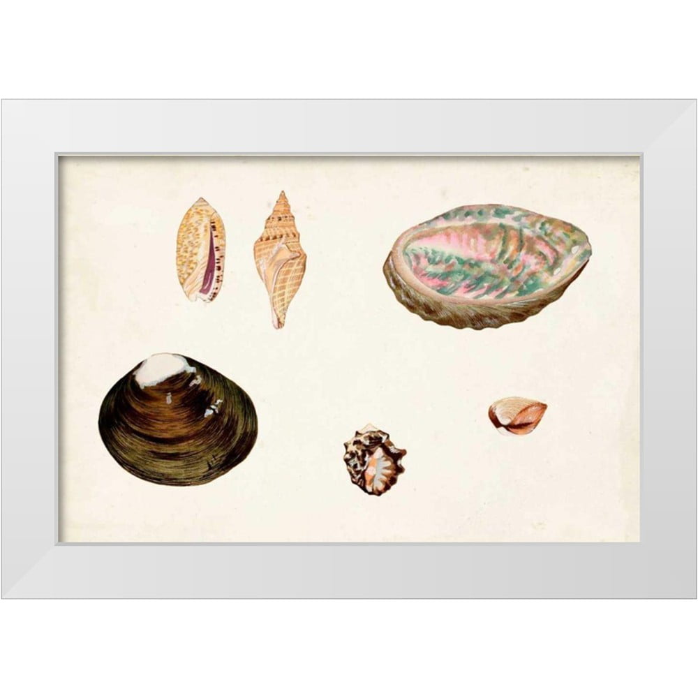 Vision Studio 18x13 White Modern Wood Framed Museum Art Print Titled ...