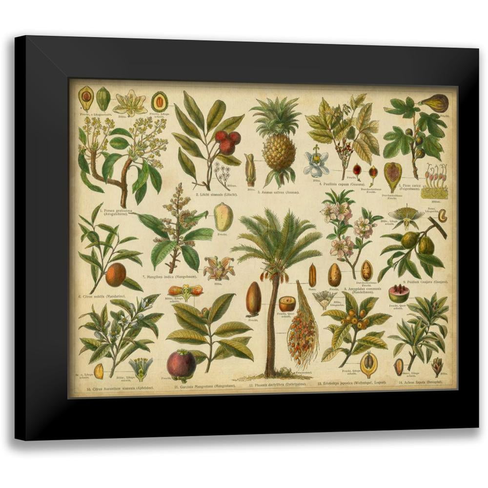 Vision Studio 18x15 Black Modern Framed Museum Art Print Titled ...