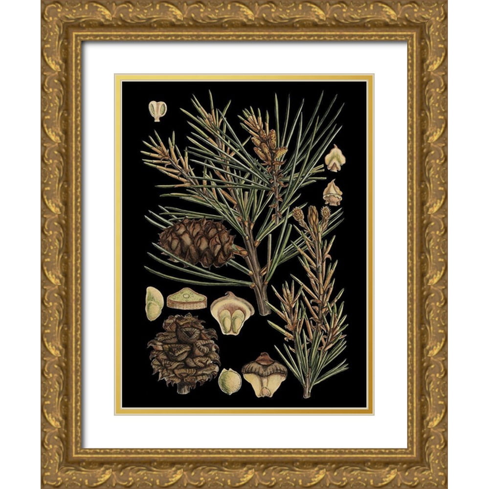 Vision Studio 19x24 Gold Ornate Wood Framed with Double Matting Museum ...