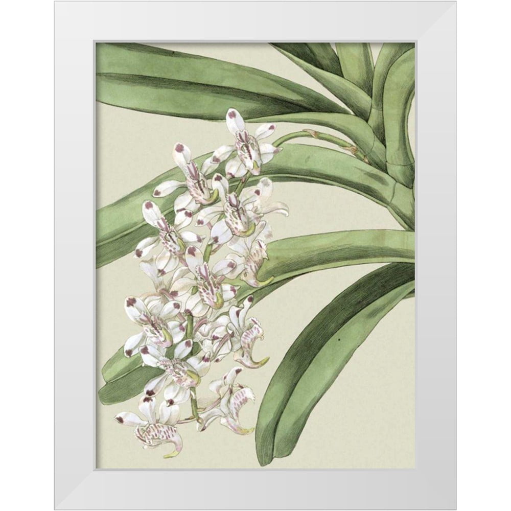 Vision Studio 19x24 White Modern Wood Framed Museum Art Print Titled ...