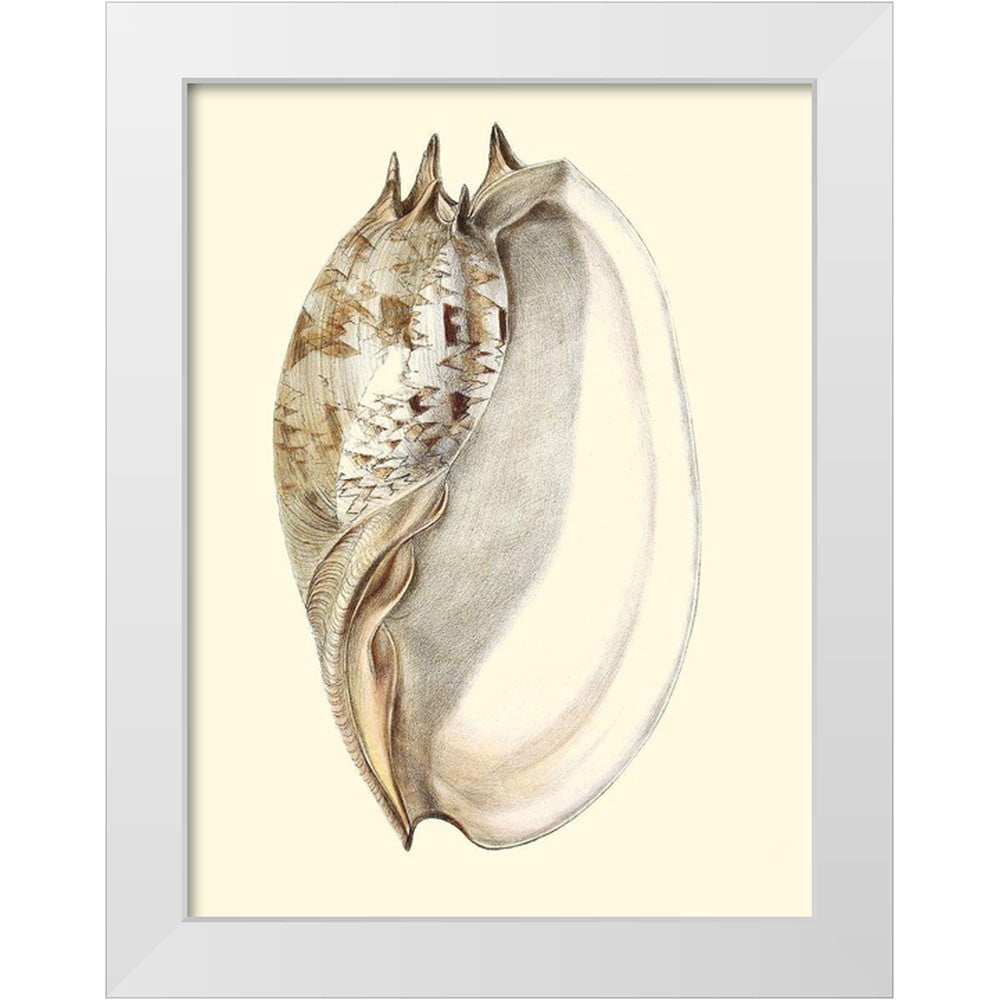 Vision Studio 19x24 White Modern Wood Framed Museum Art Print Titled ...
