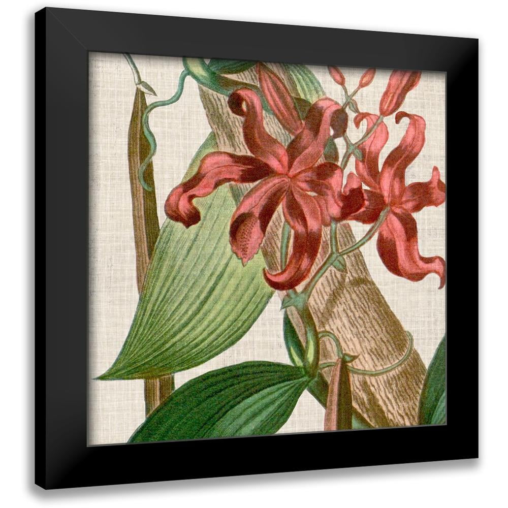 Vision Studio 20x20 Black Modern Framed Museum Art Print Titled ...