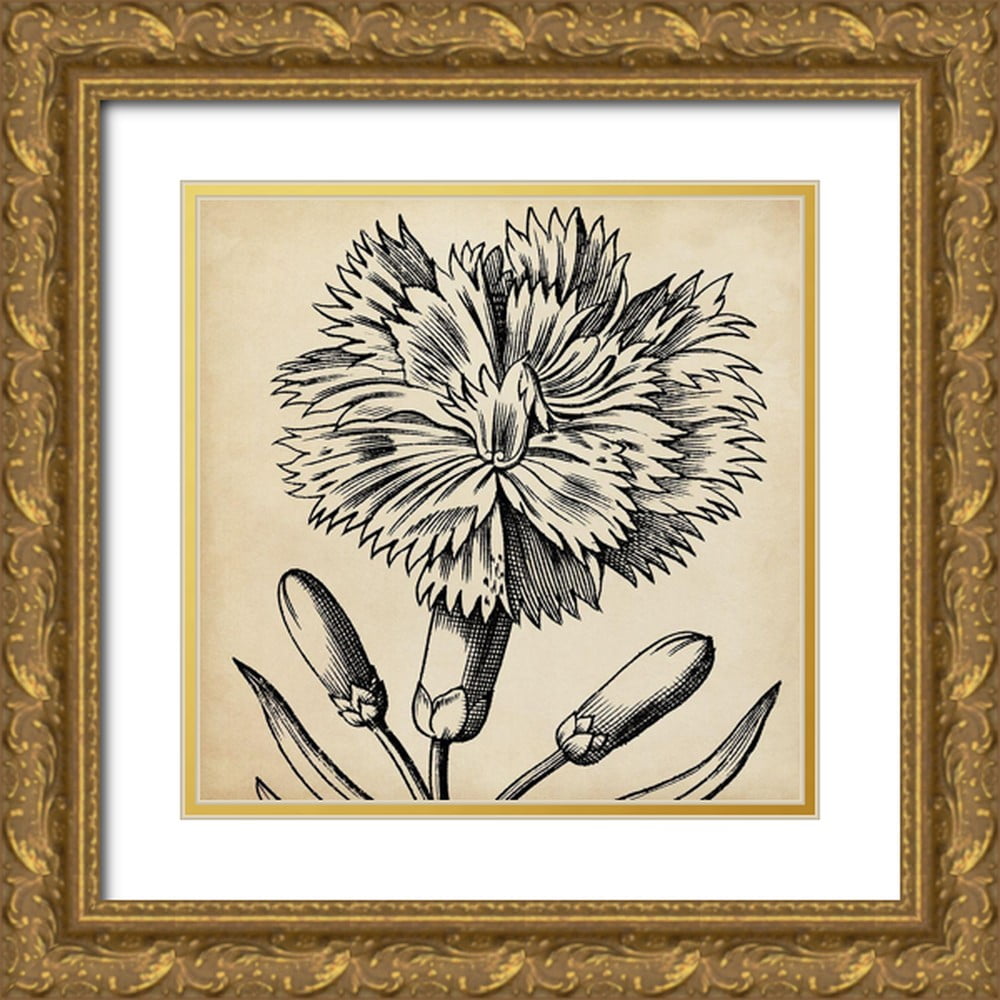 Vision Studio 20x20 Gold Ornate Wood Framed with Double Matting Museum ...