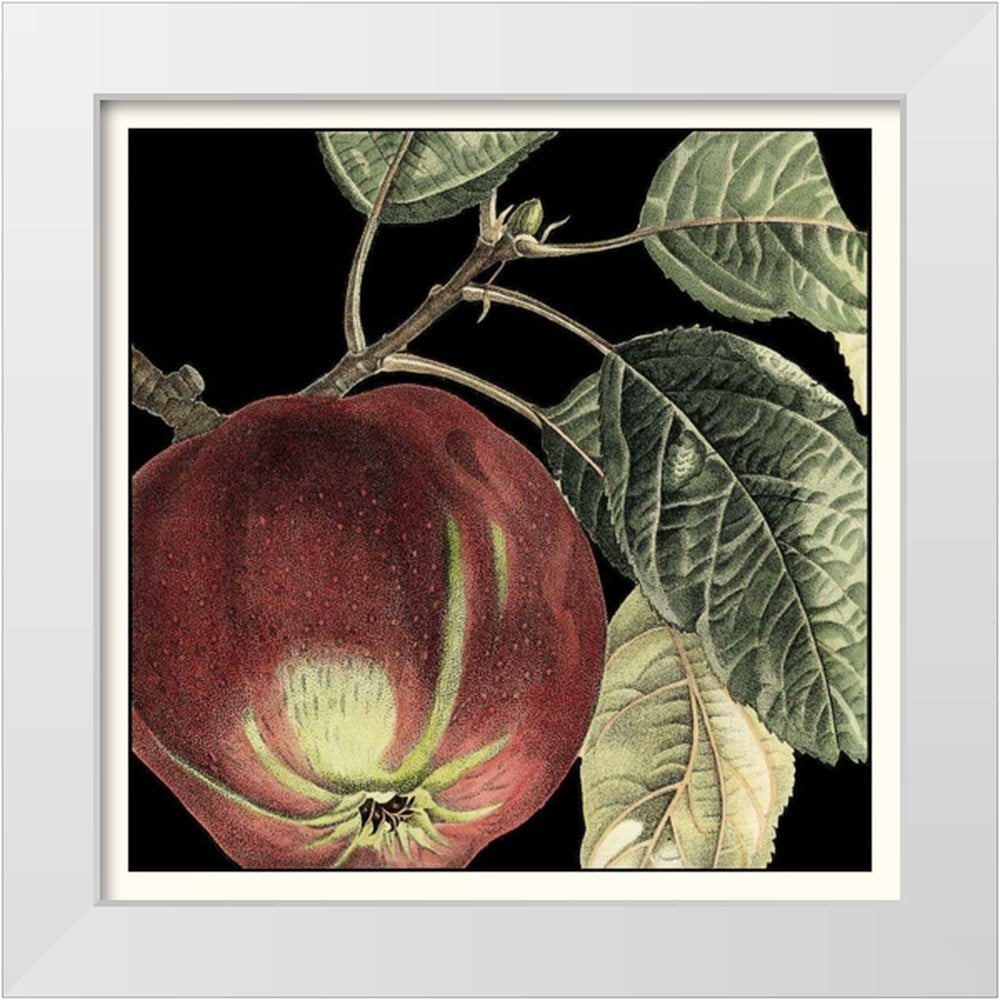 Vision Studio 20x20 White Modern Wood Framed Museum Art Print Titled ...