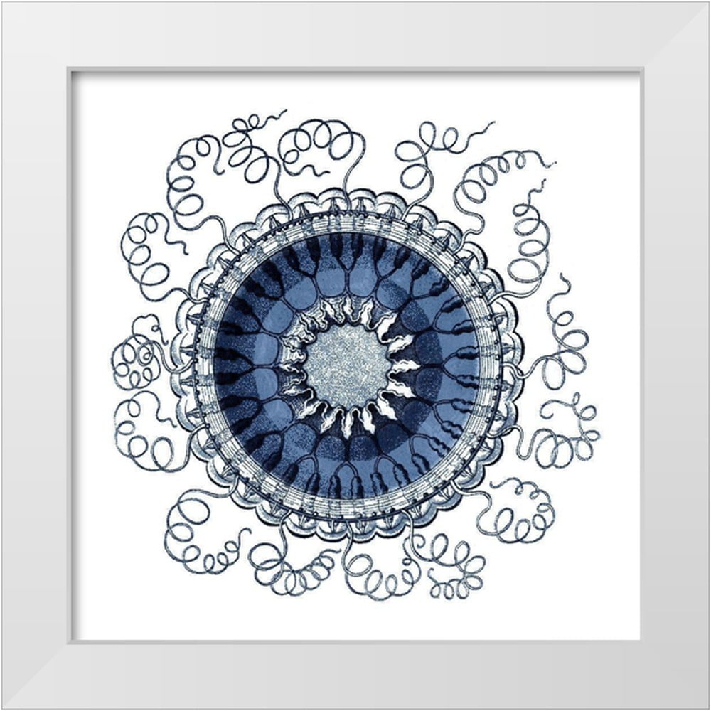 Vision Studio 20x20 White Modern Wood Framed Museum Art Print Titled - Navy Ocean Gems III ...