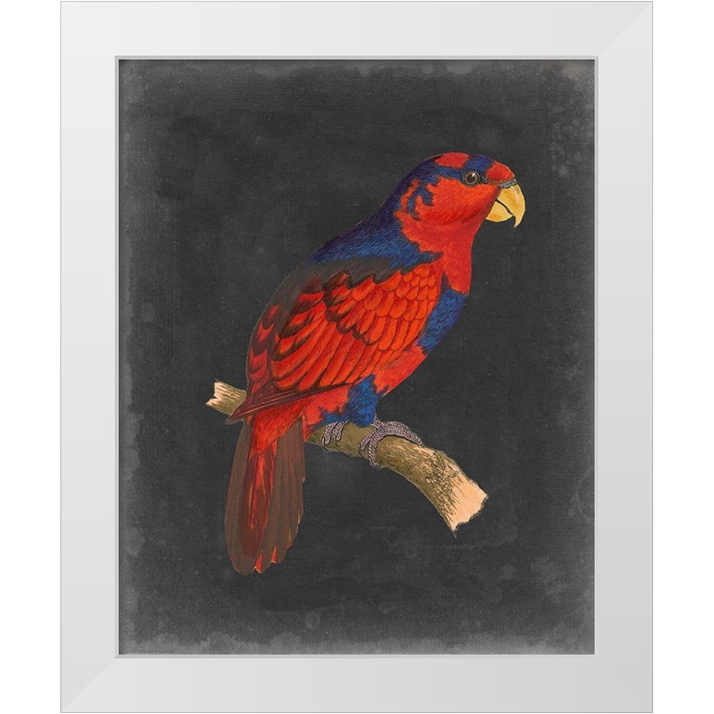 Vision Studio 20x24 White Modern Wood Framed Museum Art Print Titled ...