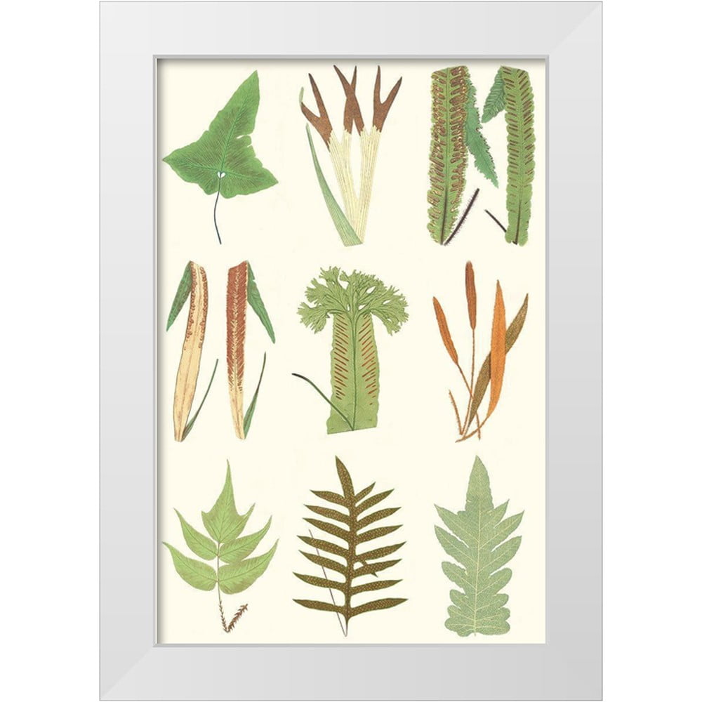 Vision Studio 23x32 White Modern Wood Framed Museum Art Print Titled ...