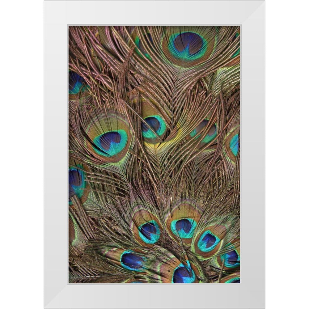 Vision Studio 23x32 White Modern Wood Framed Museum Art Print Titled ...