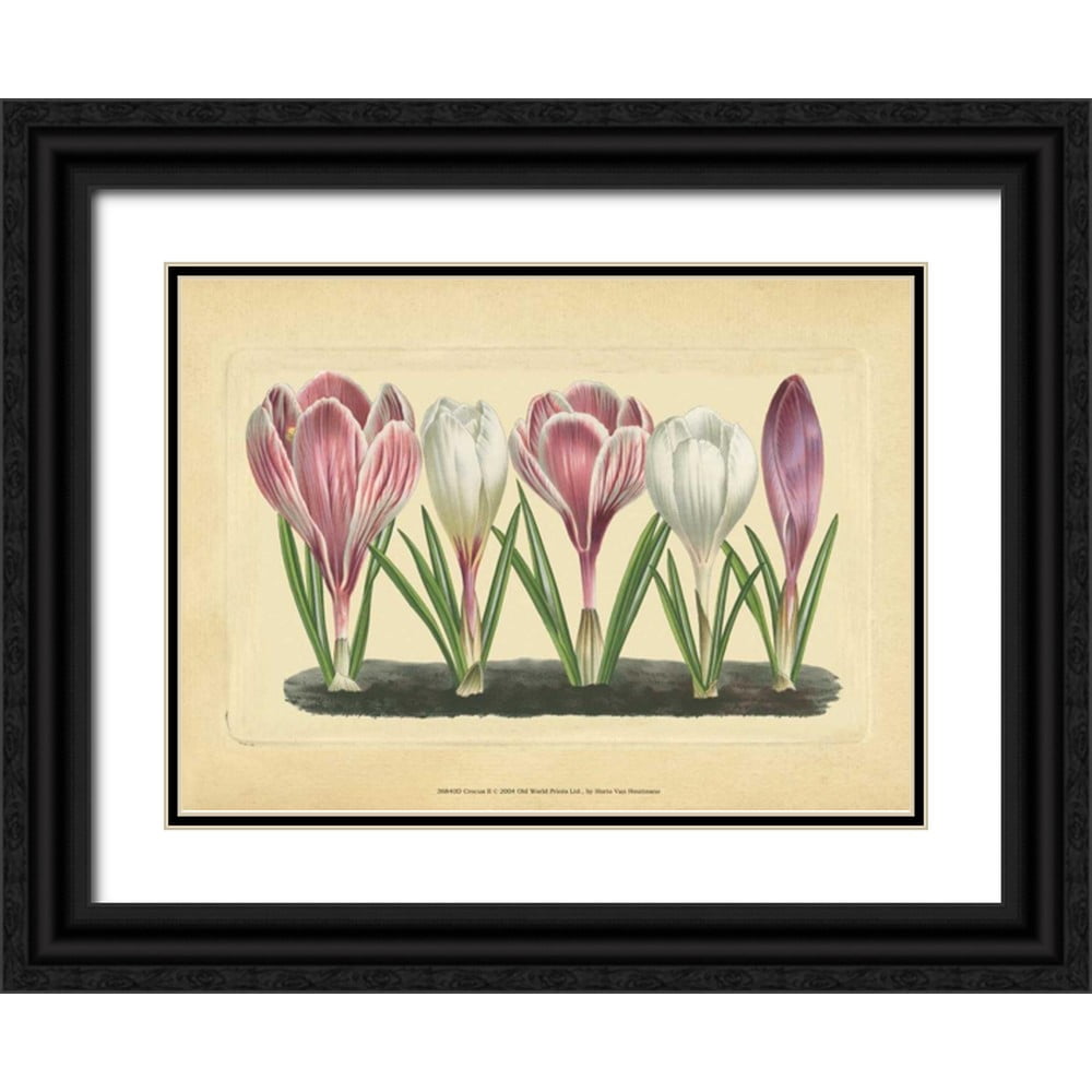 Vision Studio 24x19 Black Ornate Wood Framed with Double Matting Museum ...