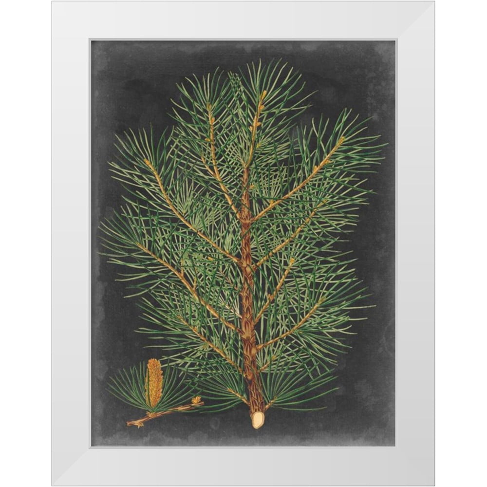 Vision Studio 25x32 White Modern Wood Framed Museum Art Print Titled ...