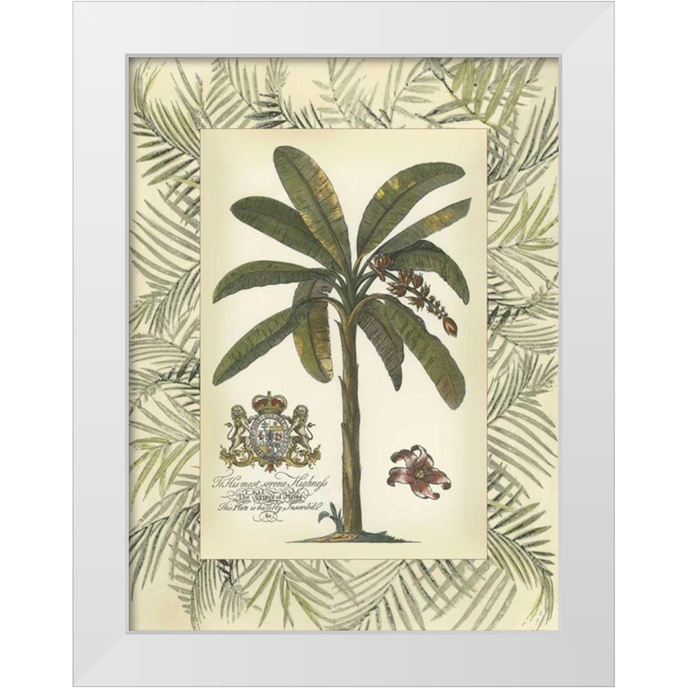 Vision Studio 25x32 White Modern Wood Framed Museum Art Print Titled ...