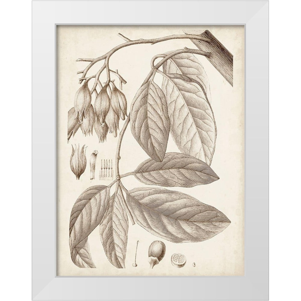 Vision Studio 25x32 White Modern Wood Framed Museum Art Print Titled ...