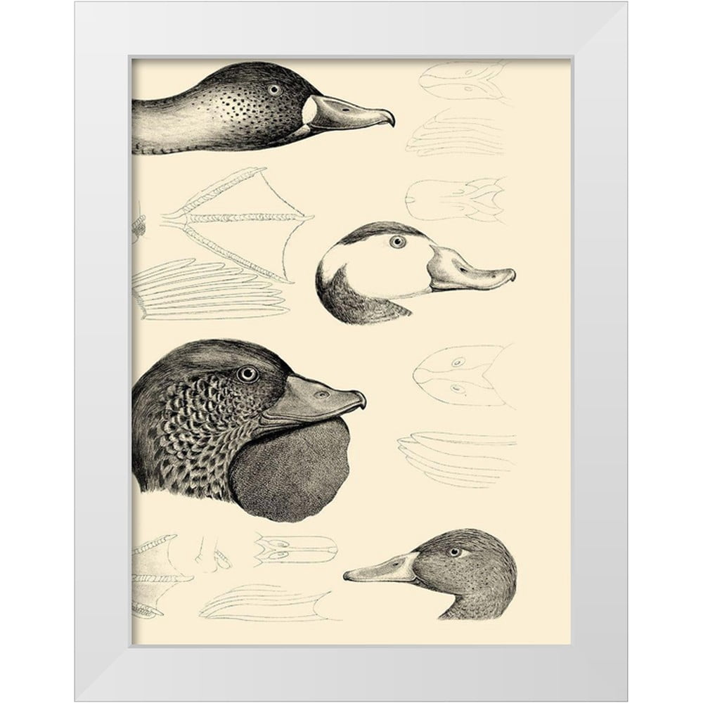 Vision Studio 25x32 White Modern Wood Framed Museum Art Print Titled ...